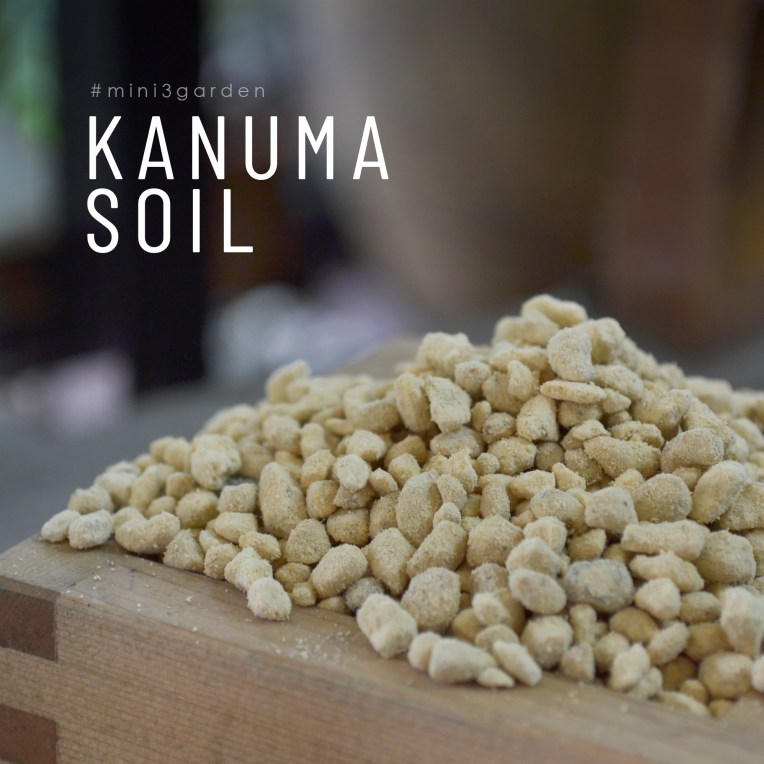 สินค้าทั้งหมด – Mini3garden