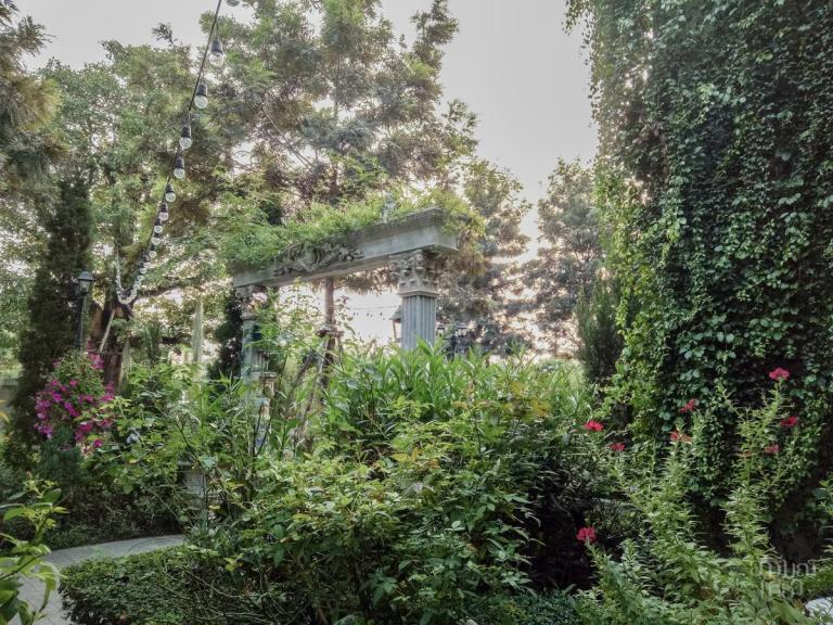 Misstar Cafe นั่งจิบ ชา กาแฟ พร้อม รื่นรมย์ กับต้นไม้นานาพันธุ์ ในการตก ...