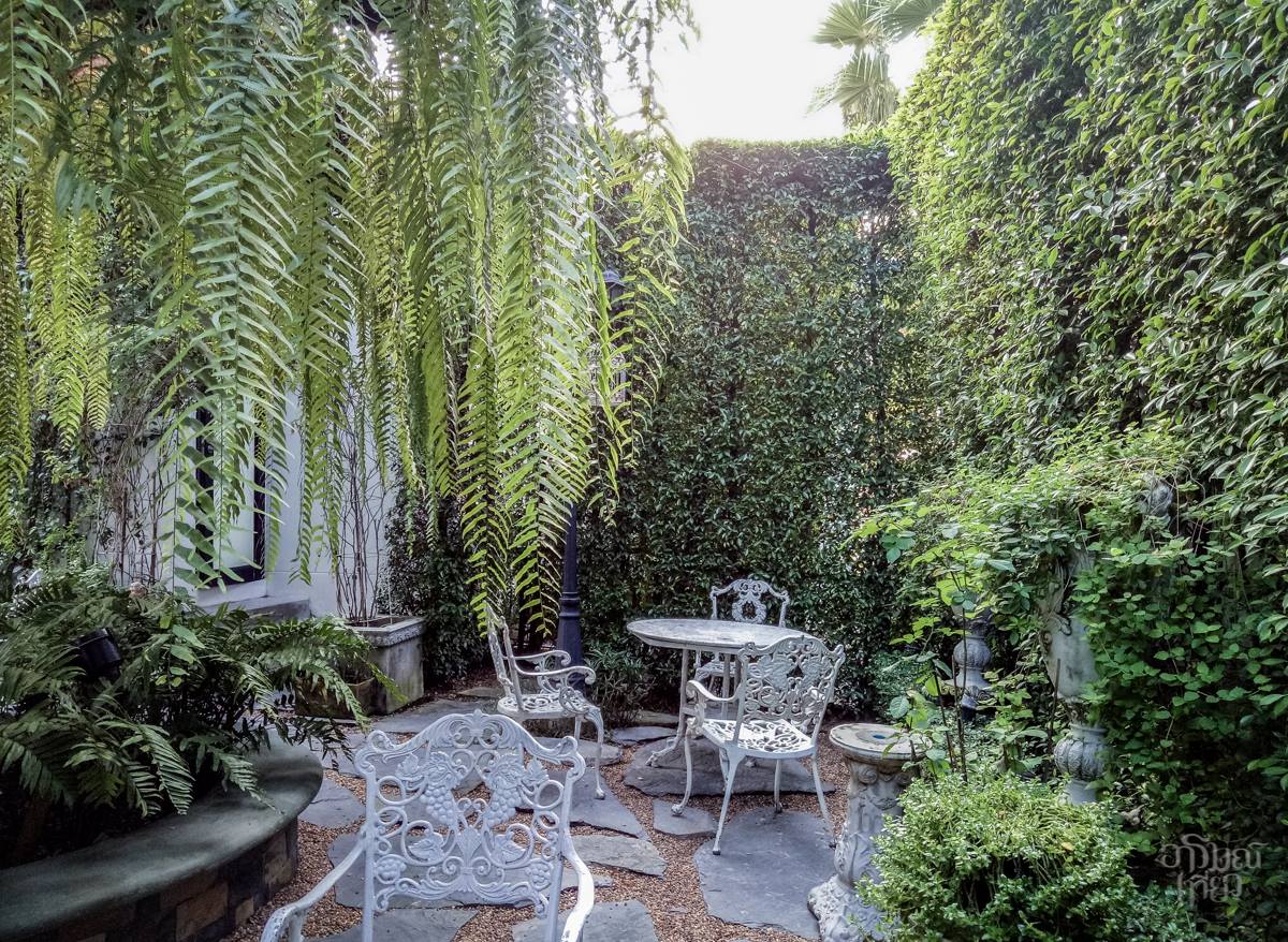 Misstar Cafe นั่งจิบ ชา กาแฟ พร้อม รื่นรมย์ กับต้นไม้นานาพันธุ์ ในการตก ...