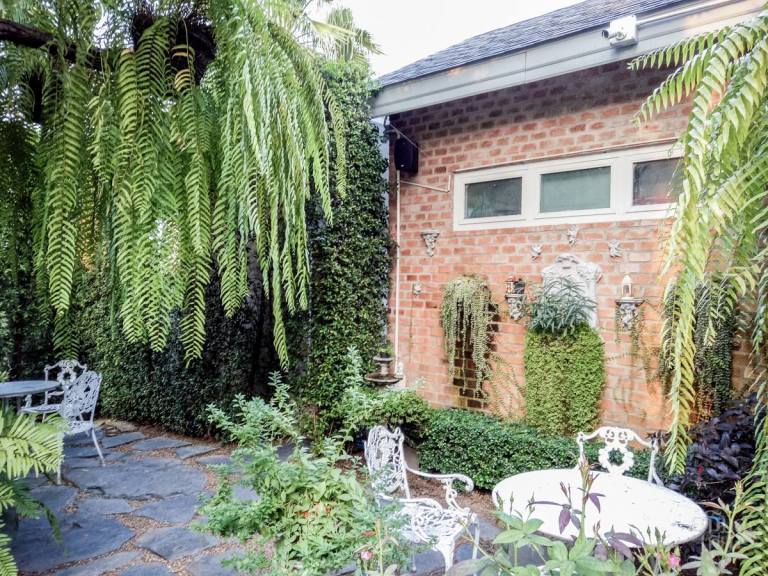 Misstar Cafe นั่งจิบ ชา กาแฟ พร้อม รื่นรมย์ กับต้นไม้นานาพันธุ์ ในการตก ...