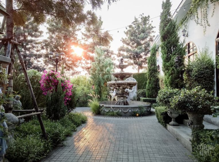 Misstar Cafe นั่งจิบ ชา กาแฟ พร้อม รื่นรมย์ กับต้นไม้นานาพันธุ์ ในการตก ...