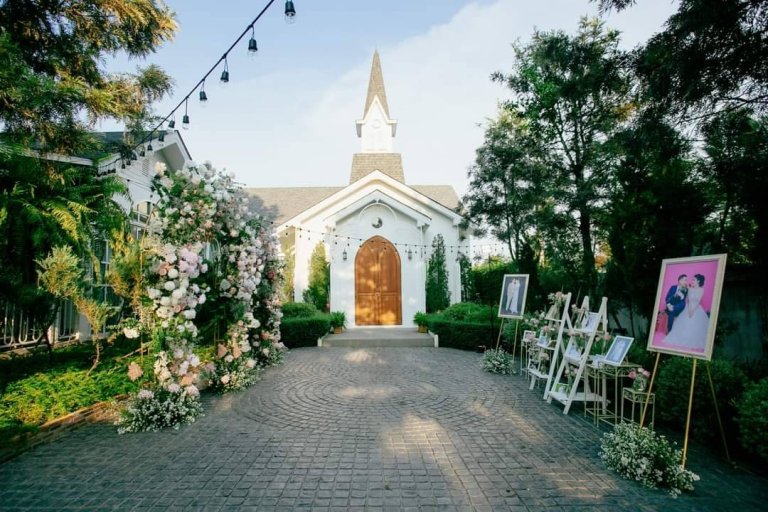 Misstar Cafe นั่งจิบ ชา กาแฟ พร้อม รื่นรมย์ กับต้นไม้นานาพันธุ์ ในการตก ...